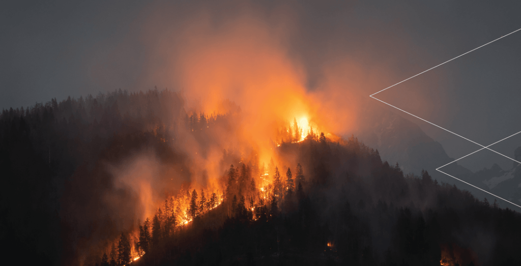Protect Your Property from Wildfire: Start with Zone 0 - Church ...